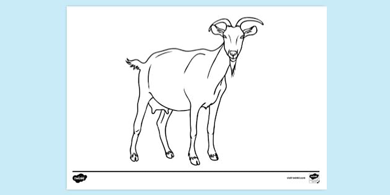 Spider Goat Colouring Sheets | Colouring Pages - Twinkl