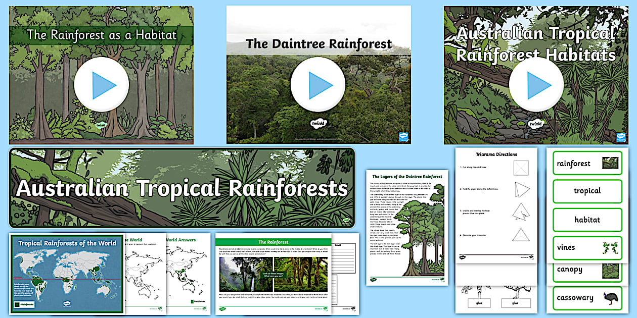 World Climates Rainforest Resource Pack (teacher made)