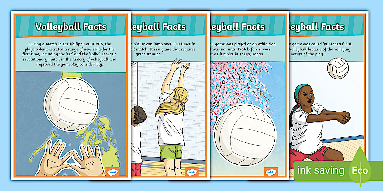 Volleyball Display Facts (teacher made) - Twinkl