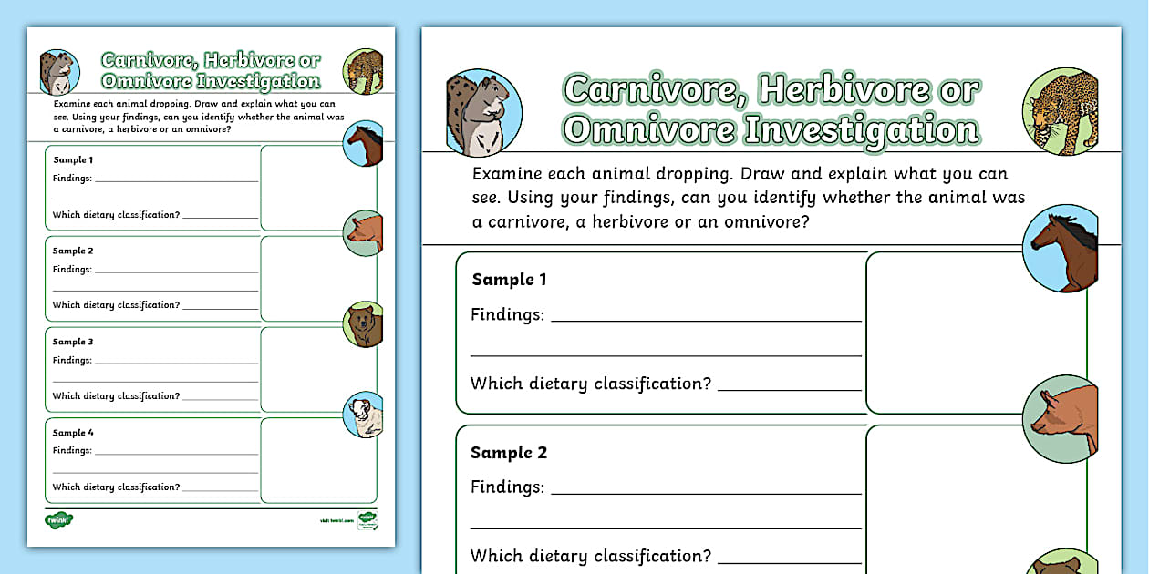 Carnivore, Herbivore or Omnivore Investigation Worksheet
