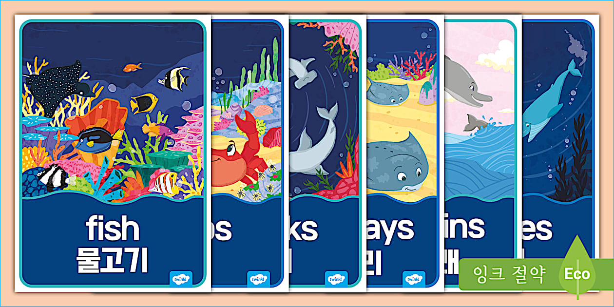 바다 동물 디스플레이 포스터 Sea Animals Display Posters