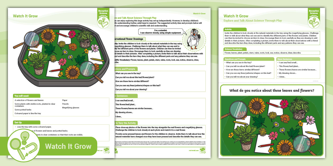 EYFS Science Watch It Grow Observational Flower Drawings