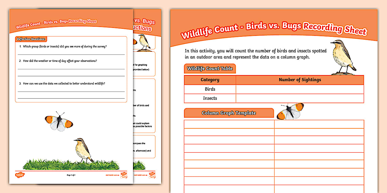 Outdoor Maths: Wildlife Count- Birds vs. Bugs (teacher made)
