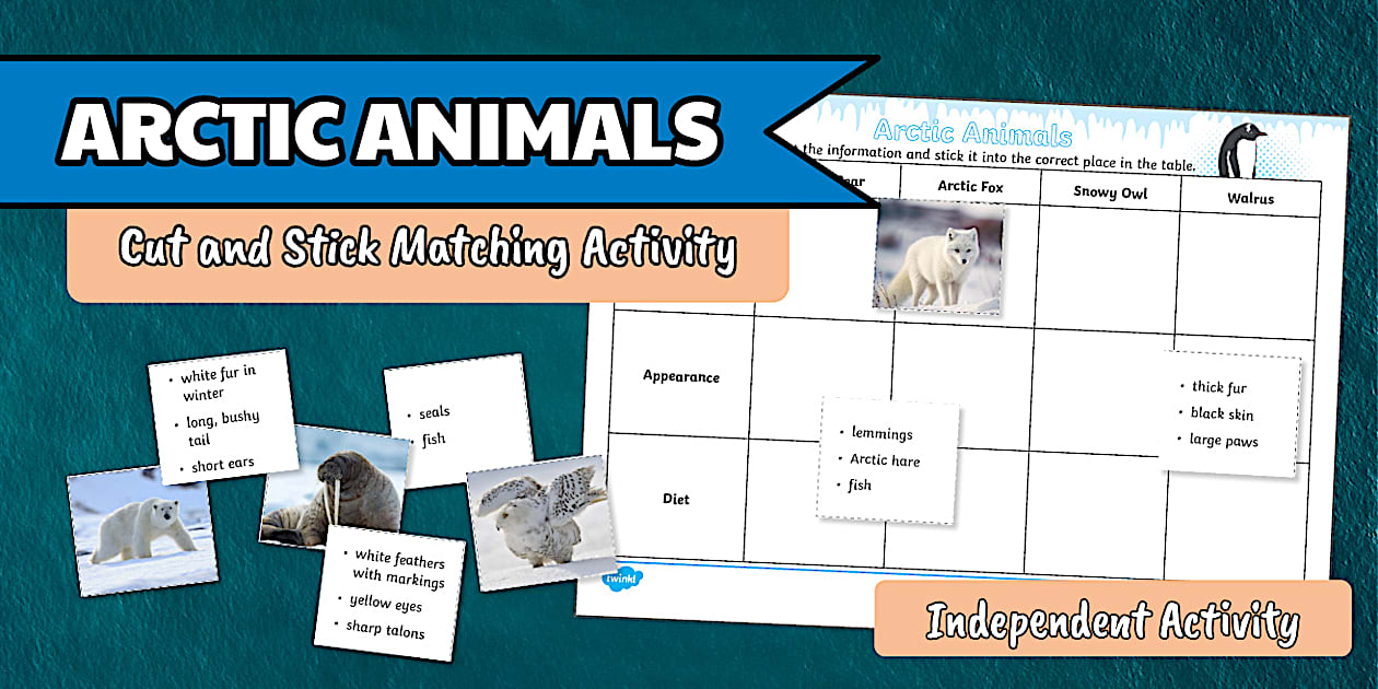 Arctic Animal Cut and Stick Matching Activity - Twinkl - KS1