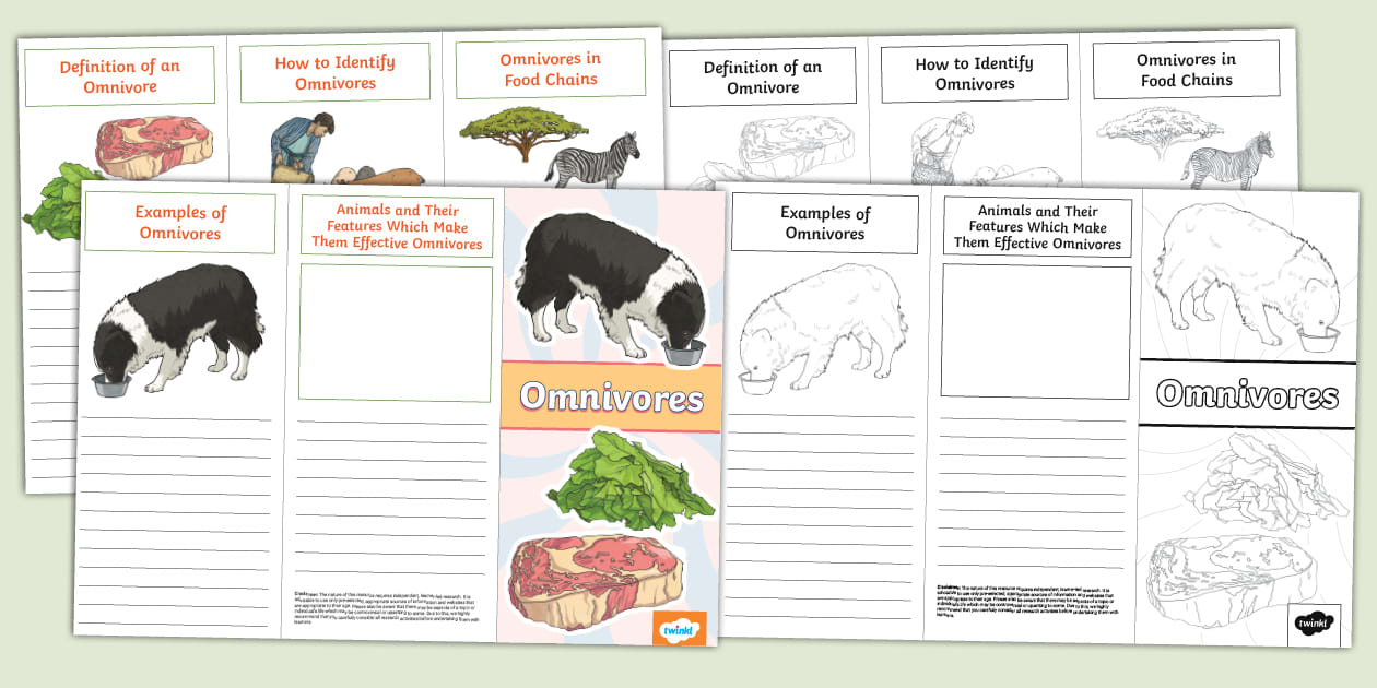 Omnivores Leaflet Template (teacher made) - Twinkl
