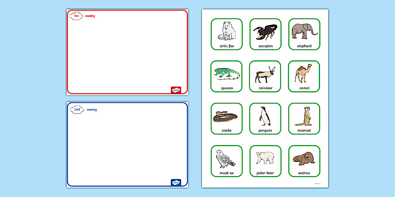 Colourful Semantics Climate Animal Sorting (teacher made)