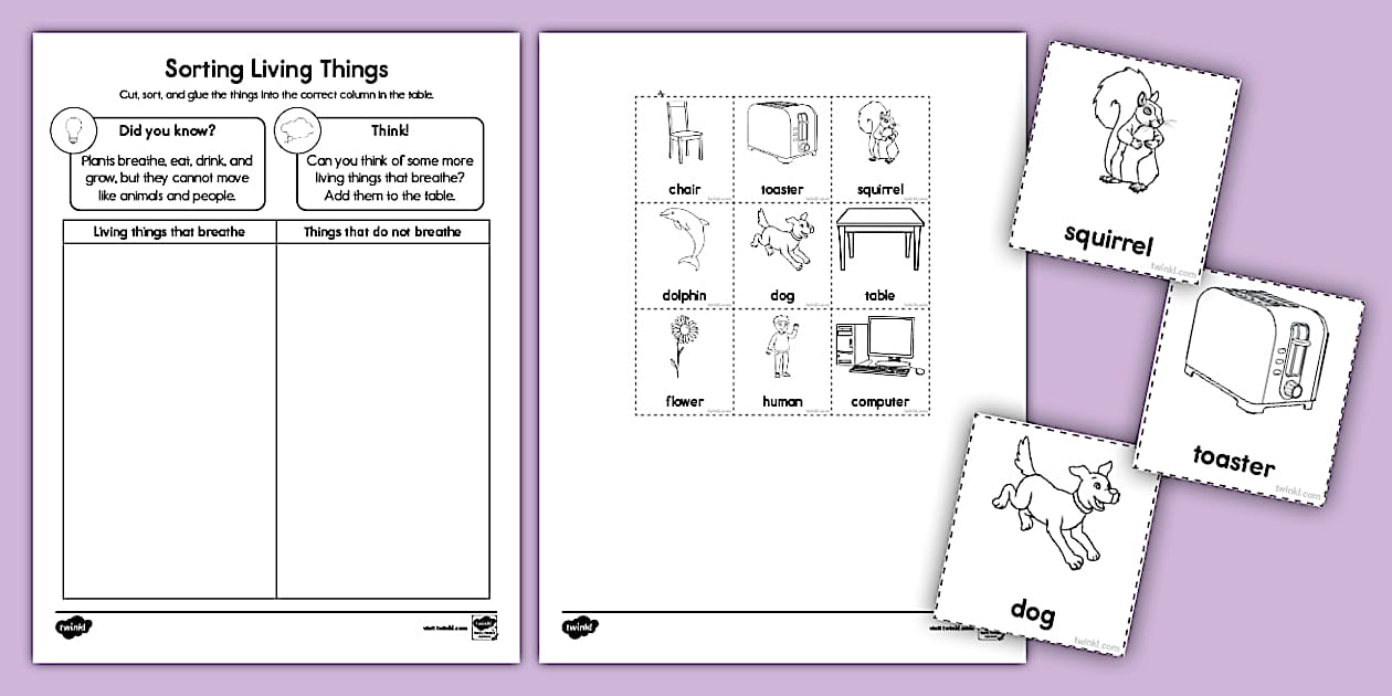Characteristics of Living Things Worksheet - Breath - Twinkl