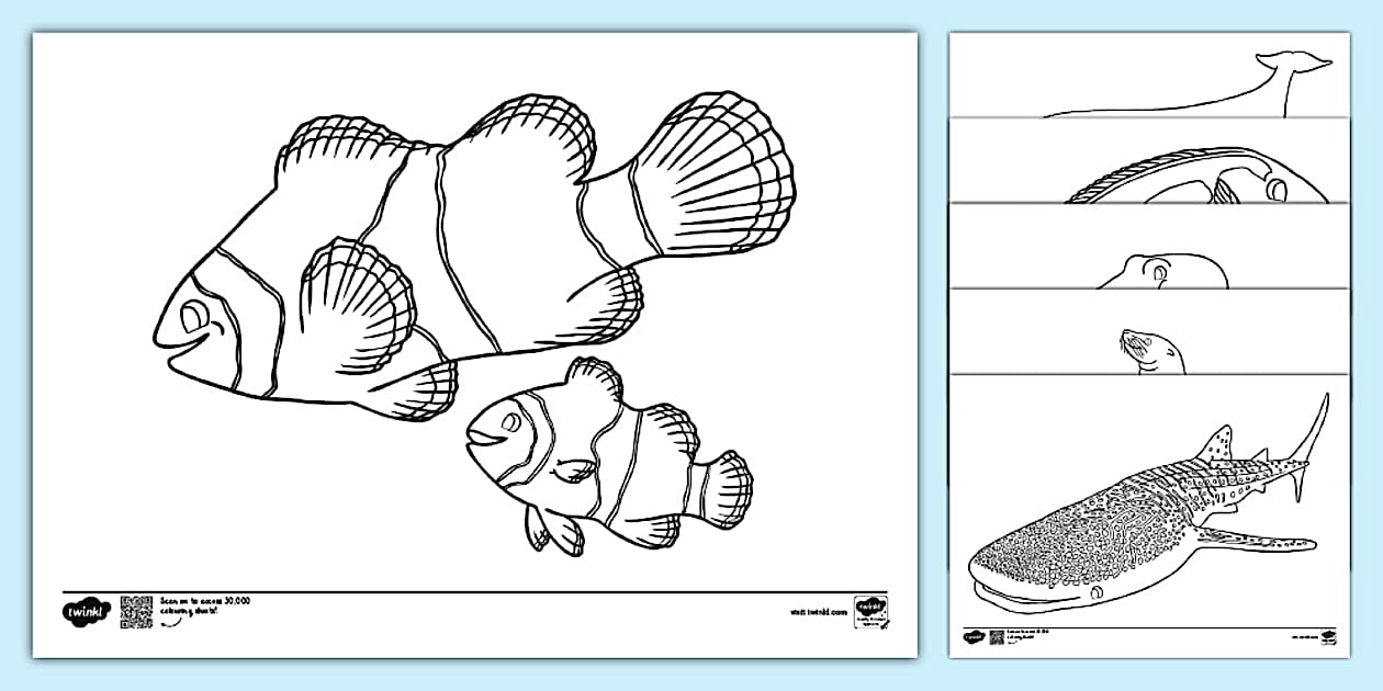 Under the Sea Adventure Colouring Pages (teacher made)