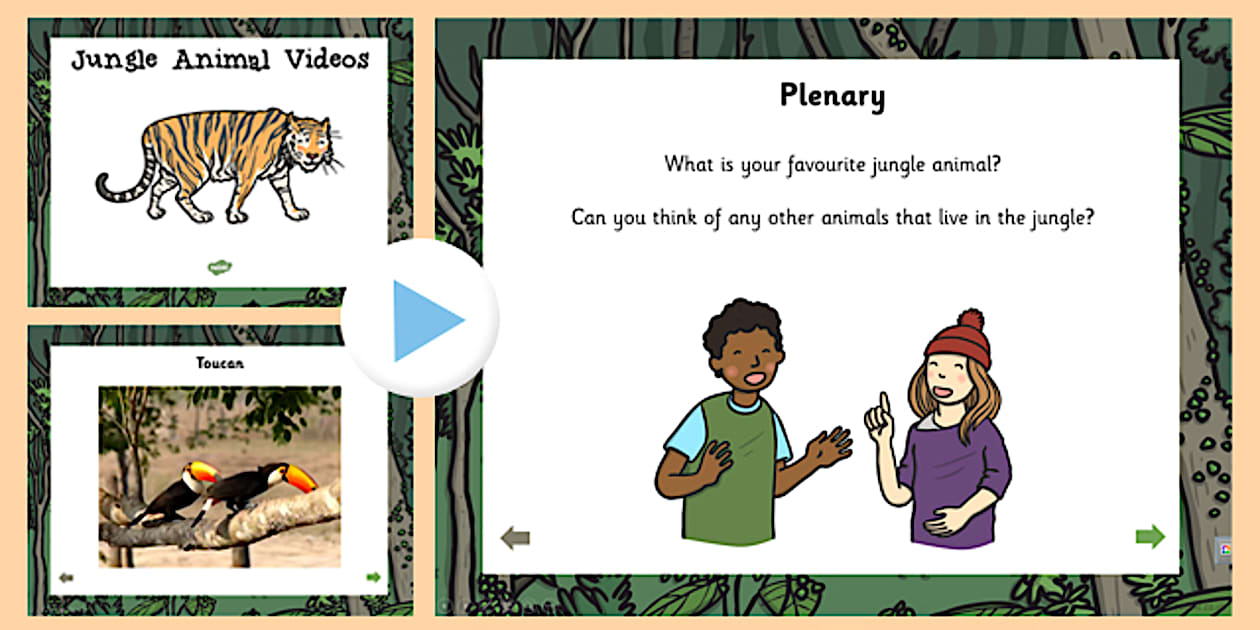 Jungle Video PowerPoint (teacher made) - Twinkl