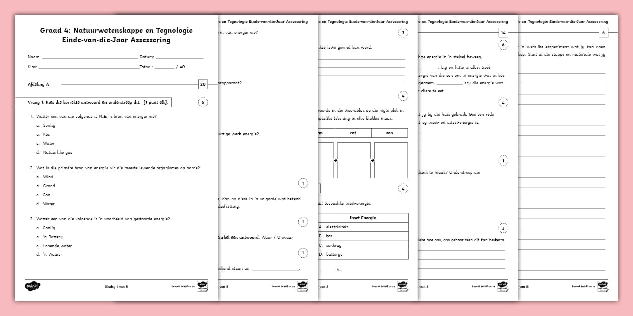 Graad 4 Natuurwetenskap en Tegnologie Eksamen Kwartaal 4