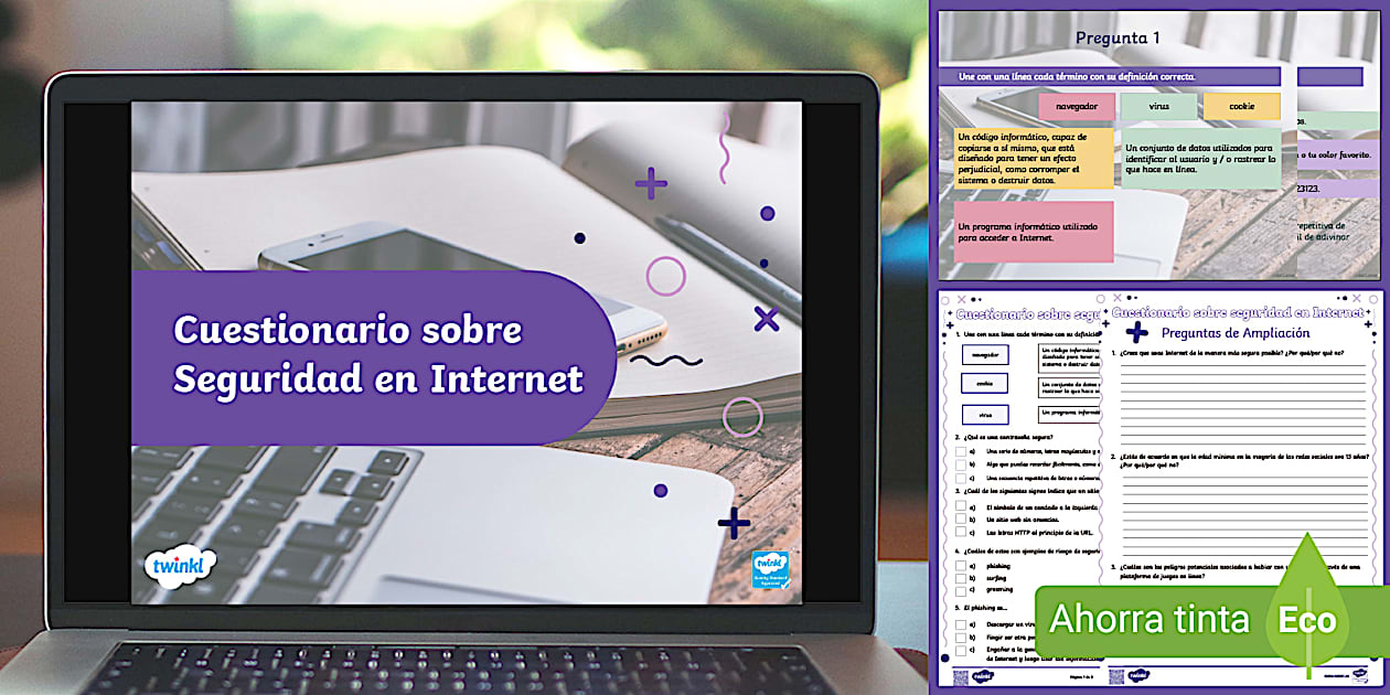 Cuestionario: Seguridad en Internet (professor feito)