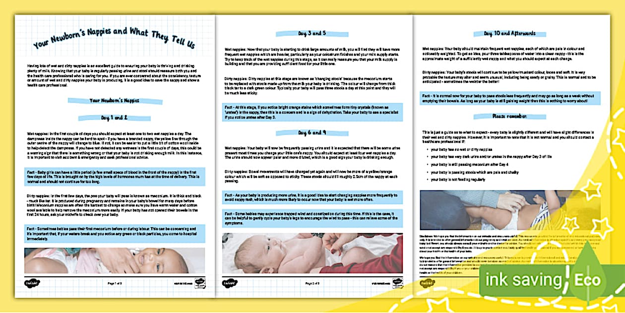 A Midwife's Guide to Wet and Dirty Nappies (teacher made)