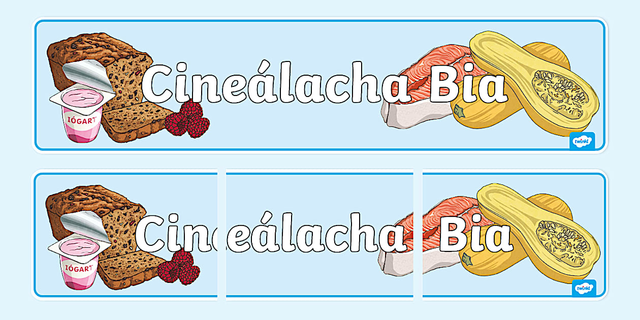 Cineálacha Bia Display Poster (teacher made) - Twinkl