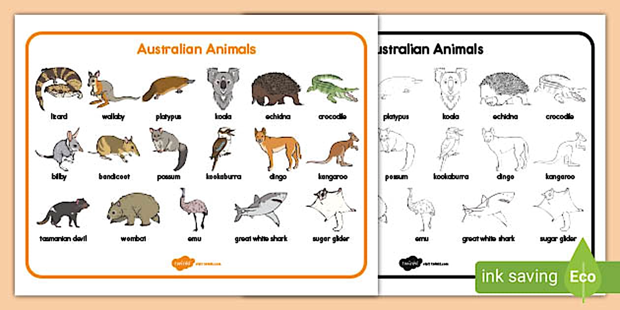 Australian Animals Habitat Word Mat (teacher made) - Twinkl