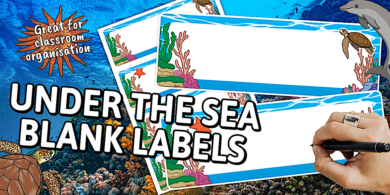 Foundation Phase - Classroom Organisation - Under the Sea - Blank Labels