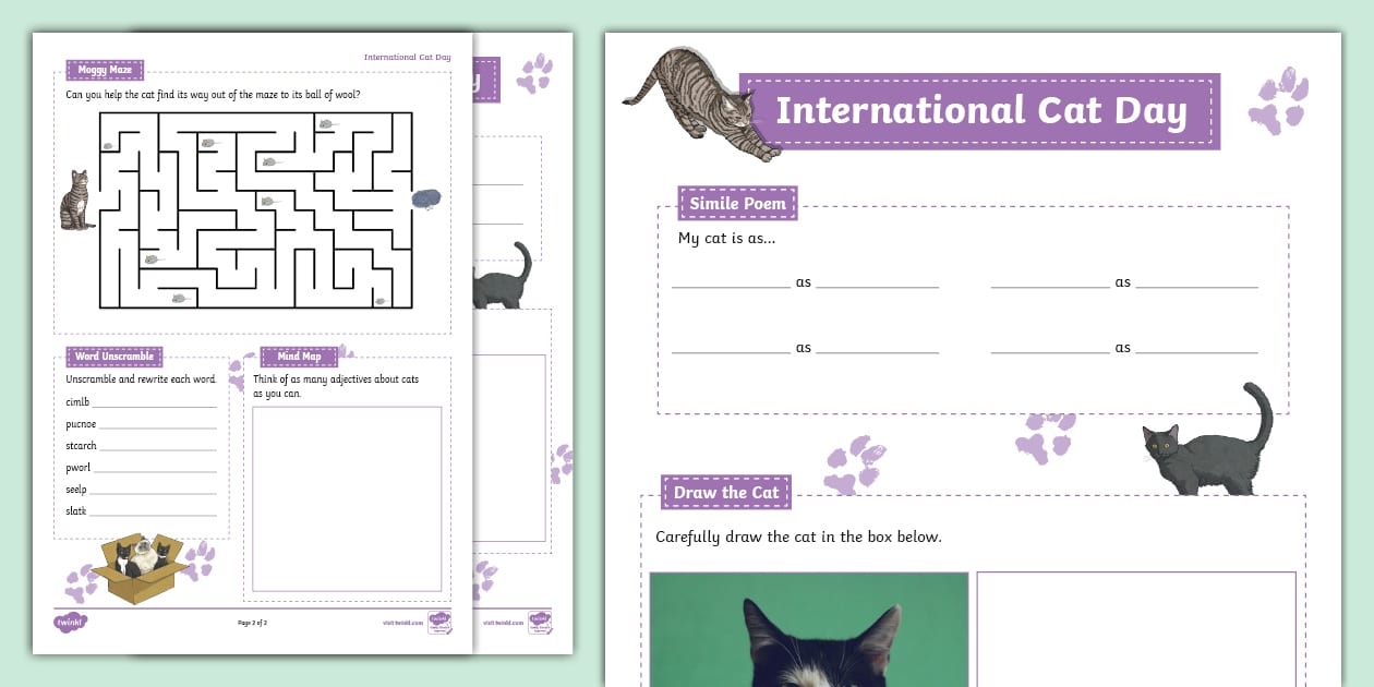 KS2 International Cat Day Boredom Buster - Twinkl