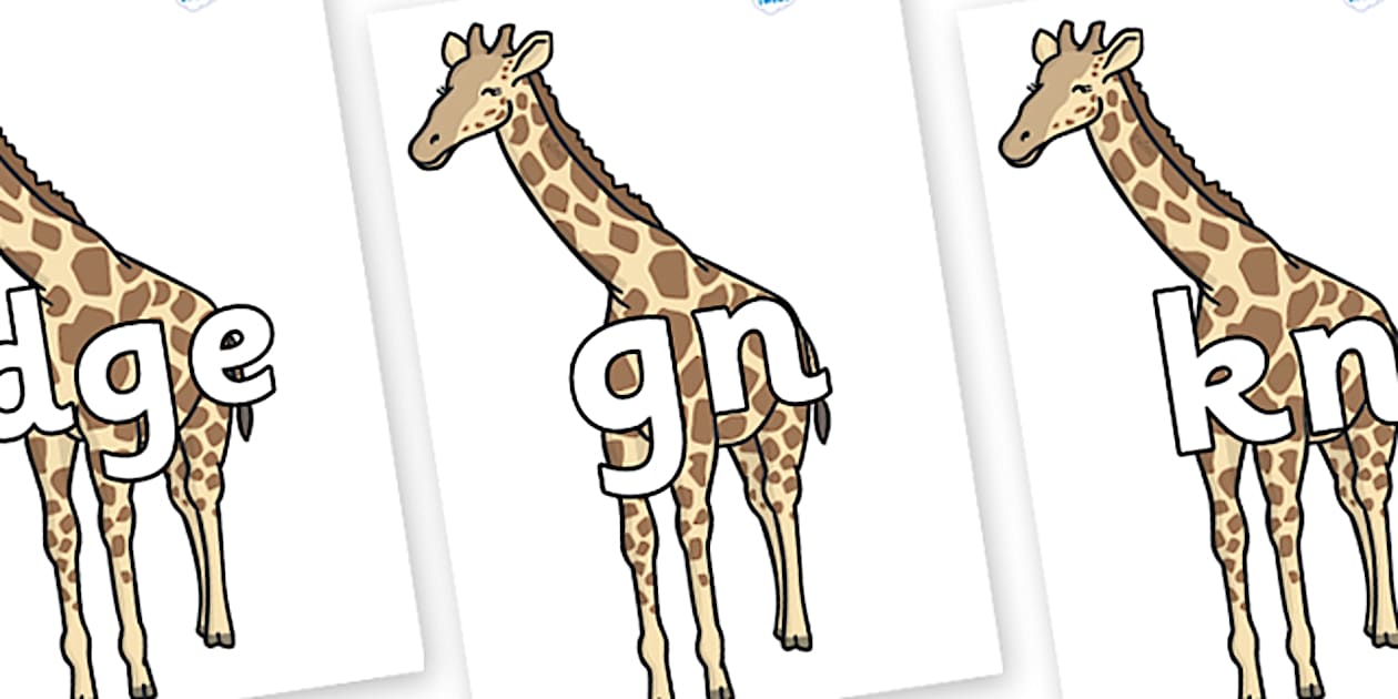 Cursive Silent Letters on Giraffe (teacher made) - Twinkl