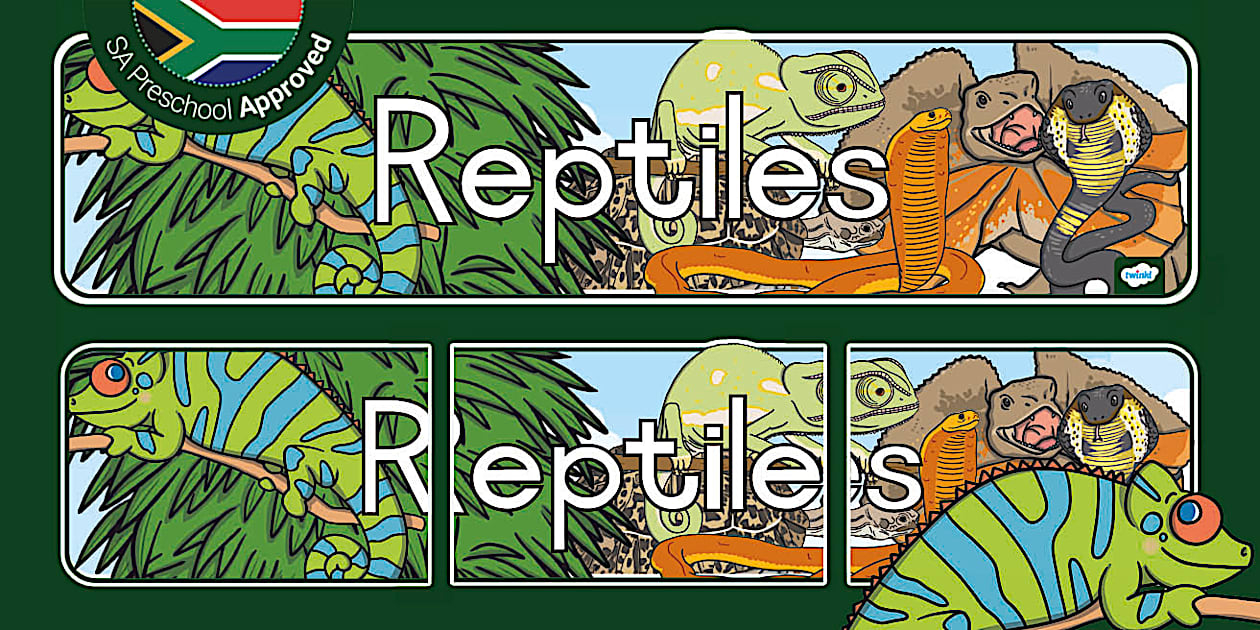 Reptiles: Display Banner (teacher made) - Twinkl