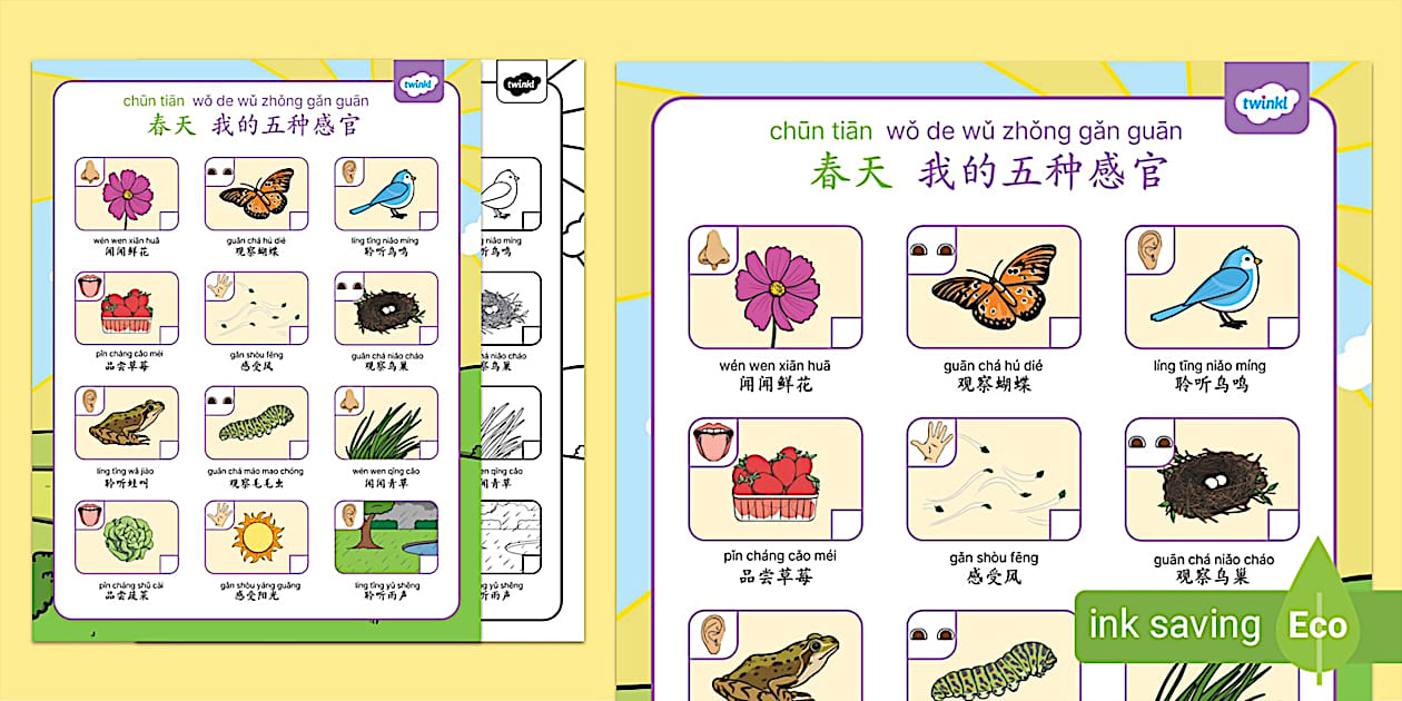 *Singapore Mandarin with Pinyin My Spring Five Senses Scavenger Hunt*