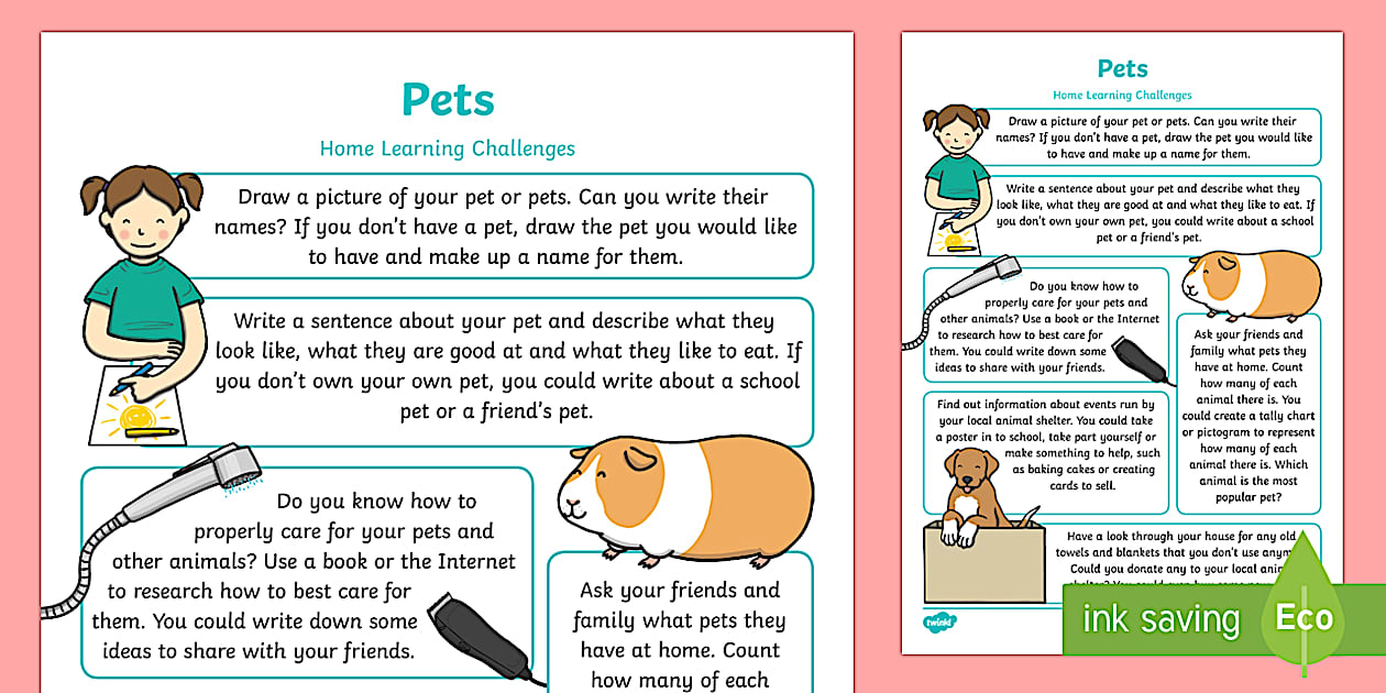 EYFS Pets Home Learning Challenges Reception FS2 - Twinkl