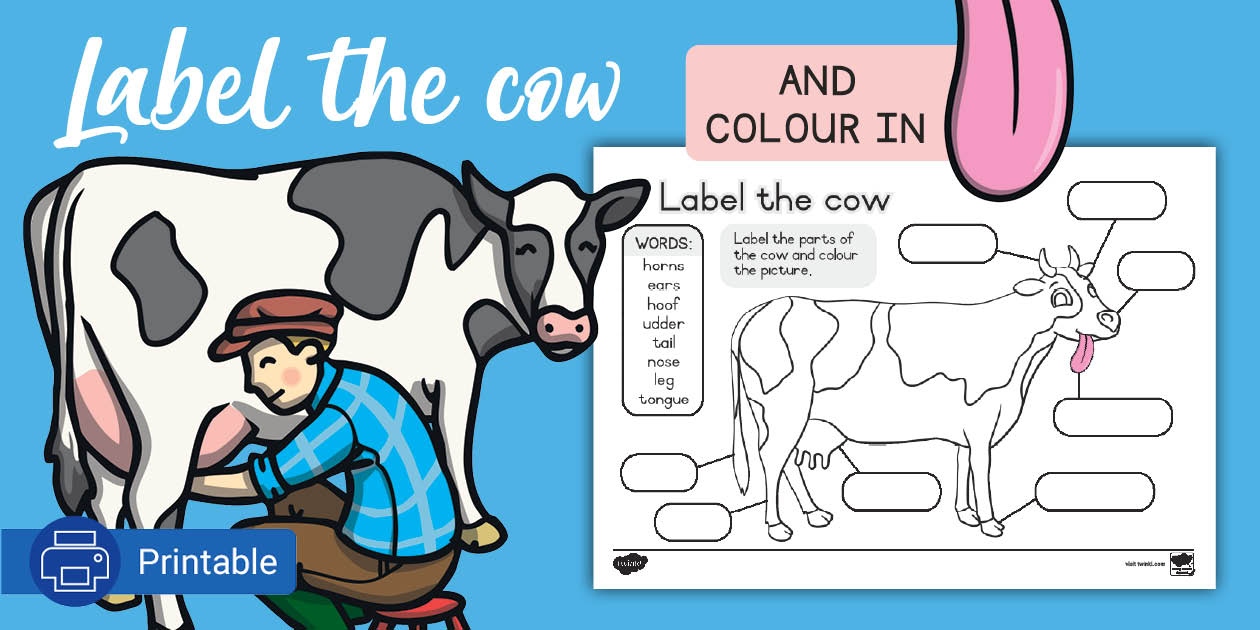 Grade R Life Skills - Worksheet: Label the Cow - Twinkl