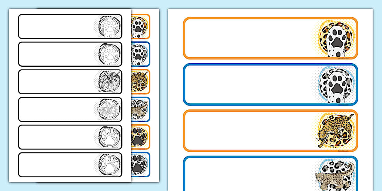 Leopard Tray Labels (teacher made) - Twinkl