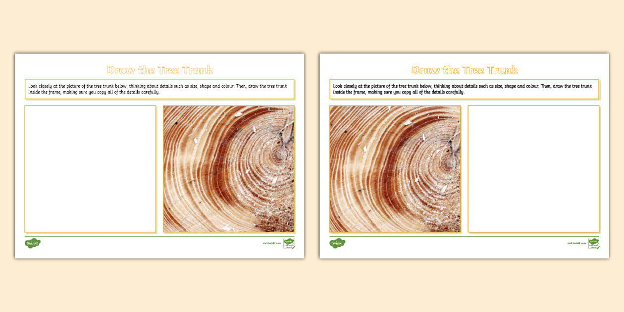 Draw the Tree Trunk Worksheet (teacher made) - Twinkl