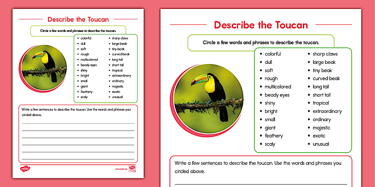 Describe the Toucan Worksheet (teacher made) - Twinkl
