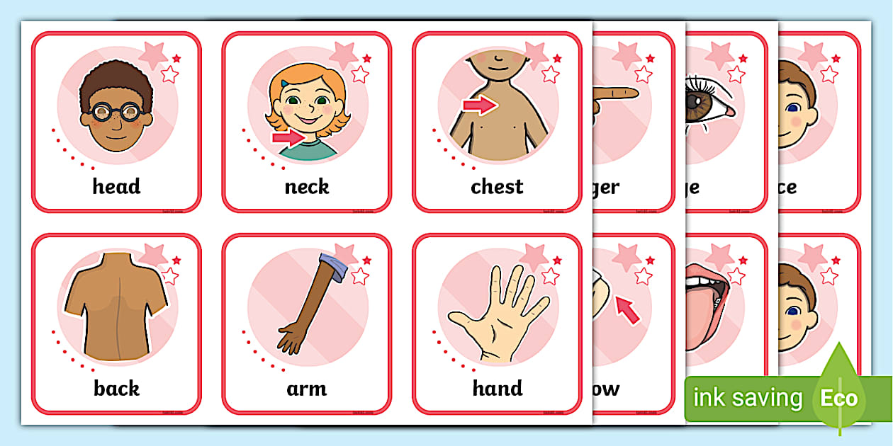 Body Flashcards | Body Parts | Ages 5-6 | Twinkl