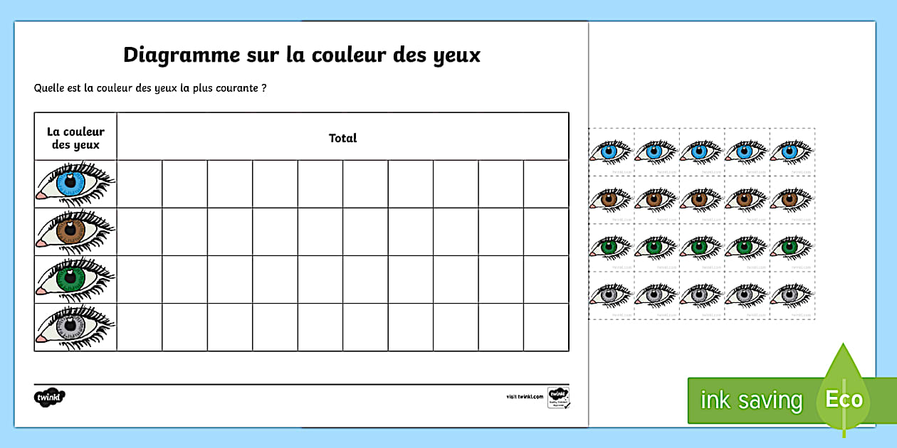 Les couleurs des yeux en français | Ressource Twinkl