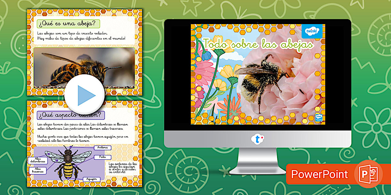 Presentación: Todo sobre las abejas (teacher made) - Twinkl