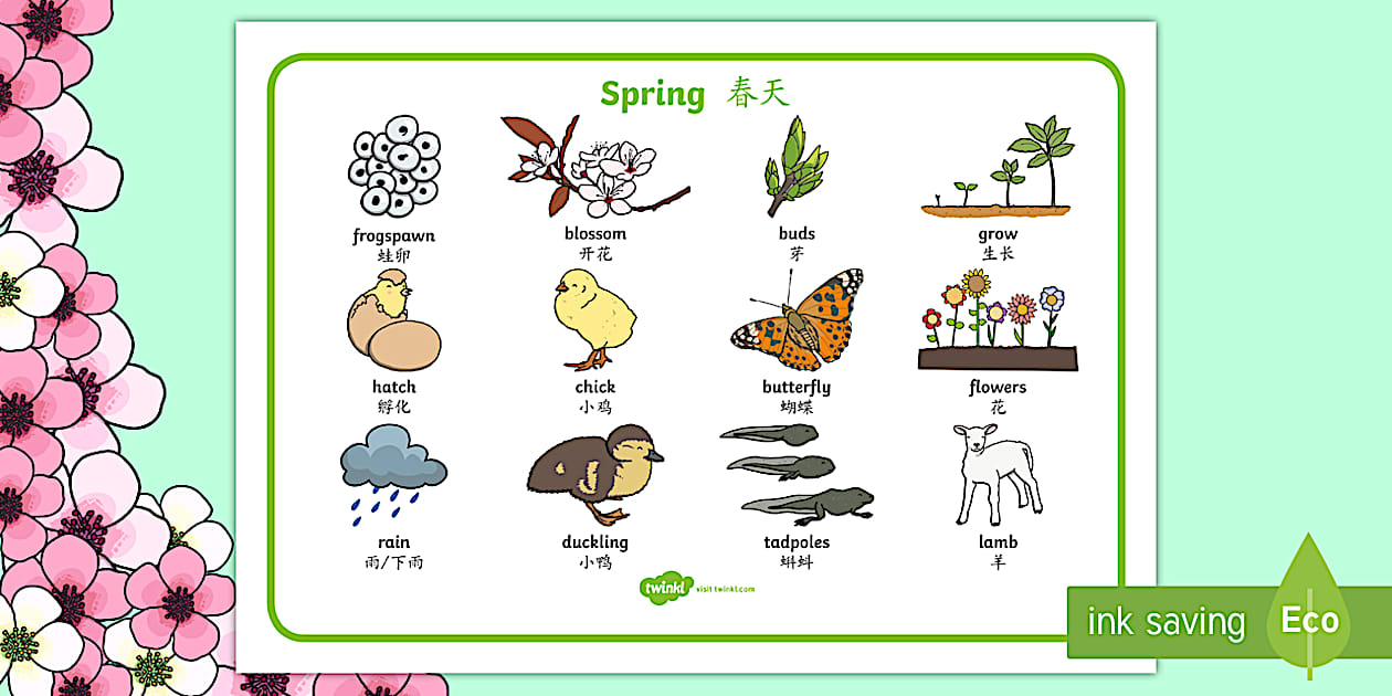 Spring Word Mat - English/Mandarin Chinese (teacher made)