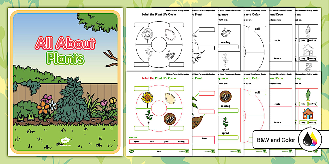 All About Plants Activity Booklet for PK-K (teacher made)