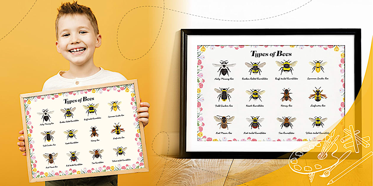 World Bee Day Types of Bees Poster | Poster of Bees - Twinkl