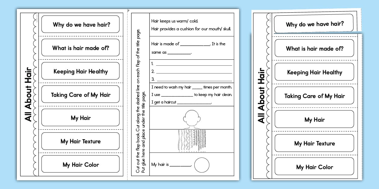 All About Hair Flap Book for K-2nd Grade