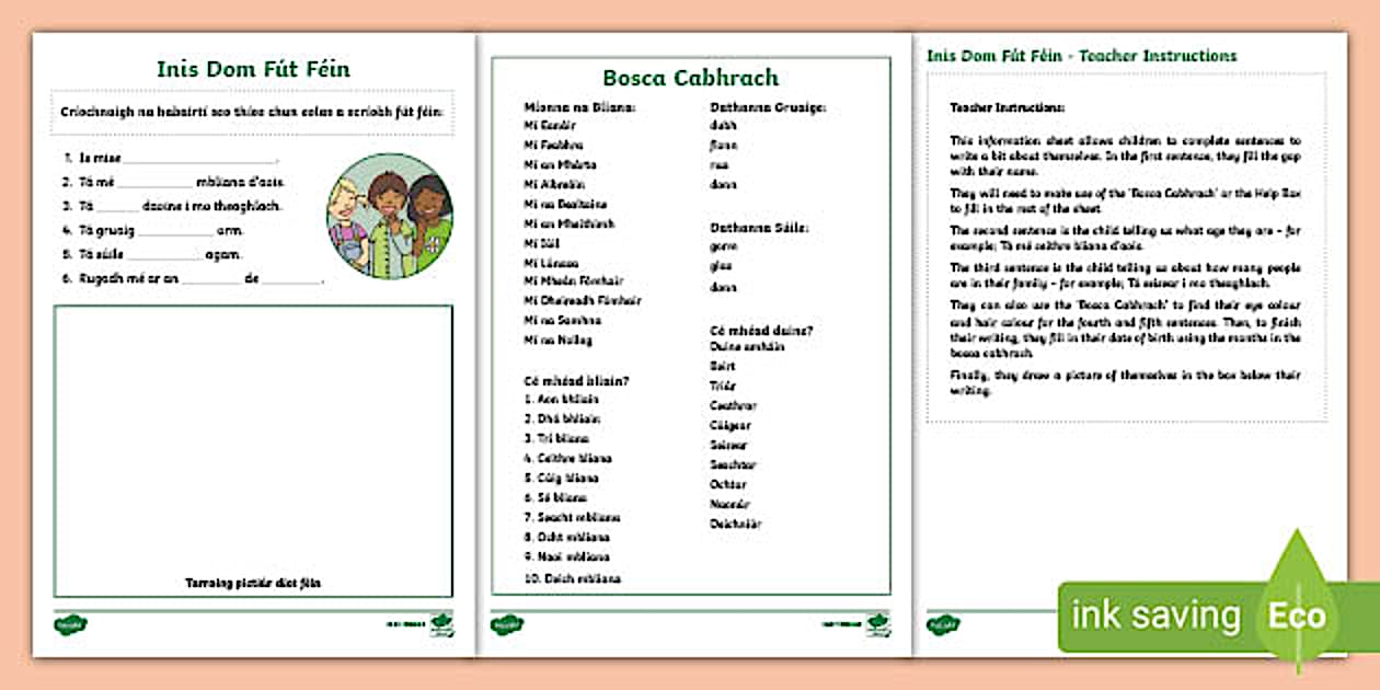 Editable All about Me Worksheet Gaeilge (professor feito)