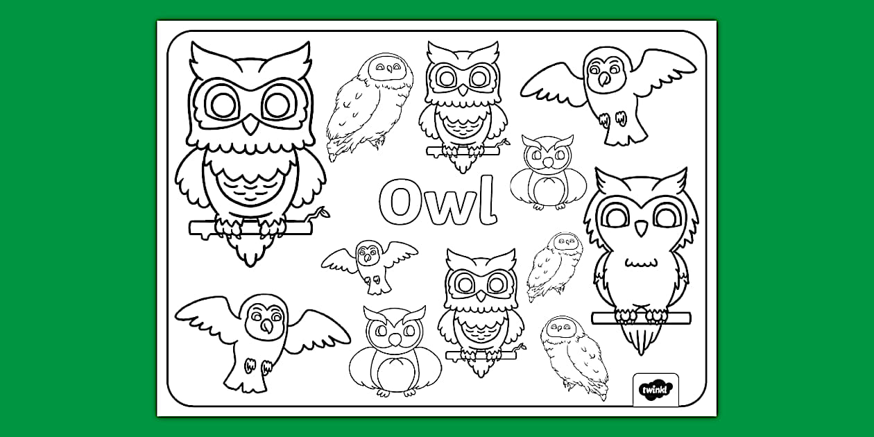 Owl Doodle Colouring Page (teacher made) - Twinkl