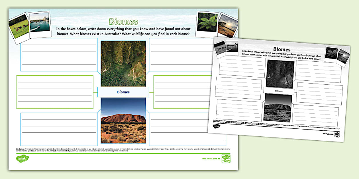 Biomes Mind Map (Teacher-Made) - Twinkl