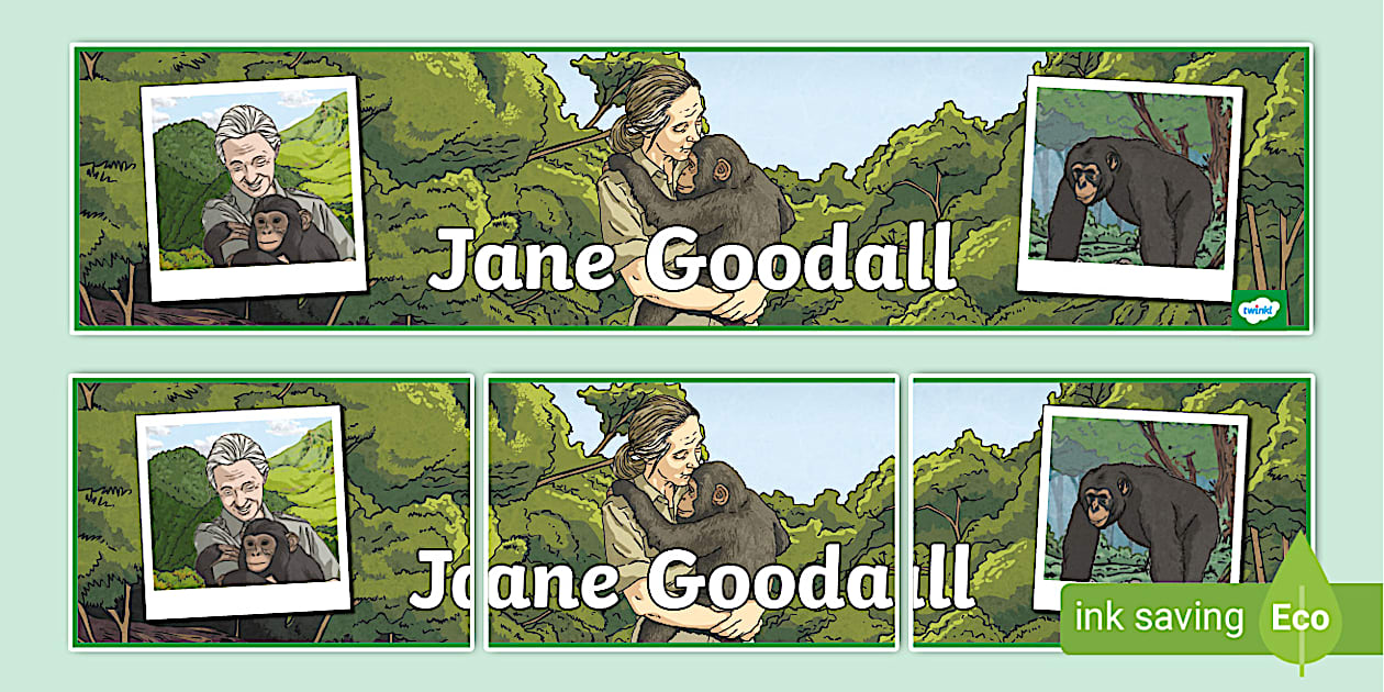Jane Goodall Display Banner,inspirational females - Twinkl