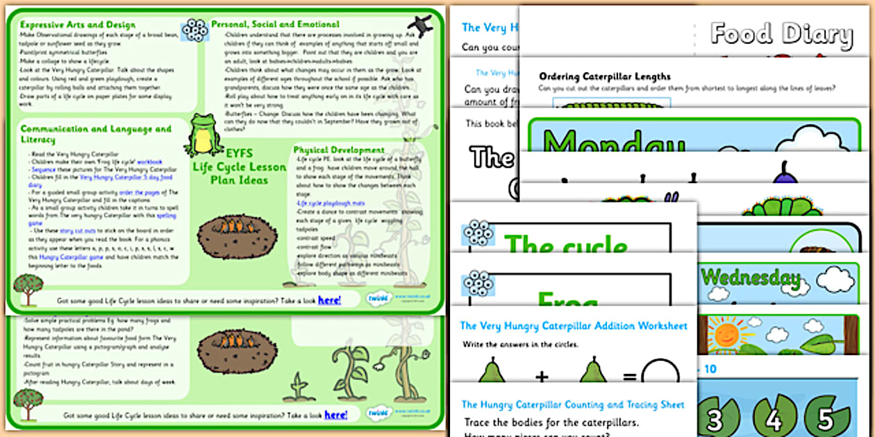 EYFS Life Cycle Lesson Plan Ideas (teacher made) - Twinkl