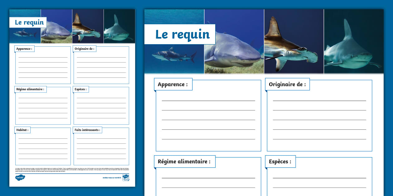 Fiche d'informations : Le requin (teacher made) - Twinkl