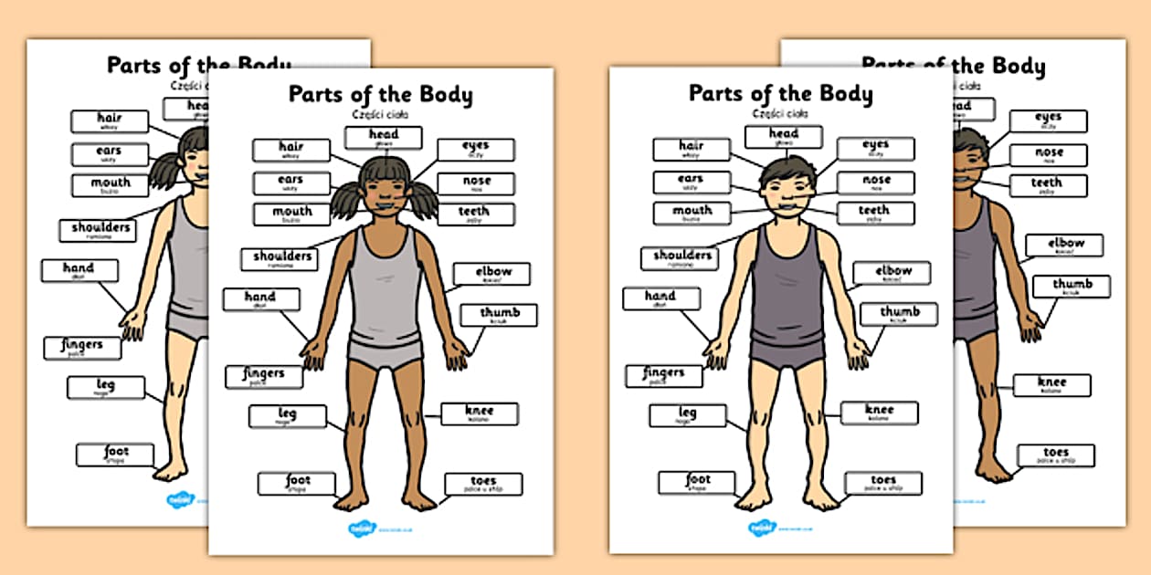 Black and White Parts of the Body A4 Polish Translation