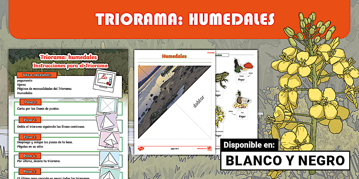 Manualidad sobre ecosistemas: Triorama humedales