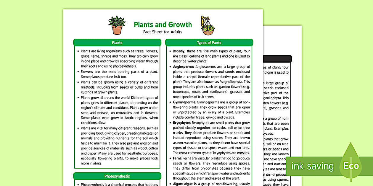 Plants and Growth Fact Sheet for Adults (teacher made)
