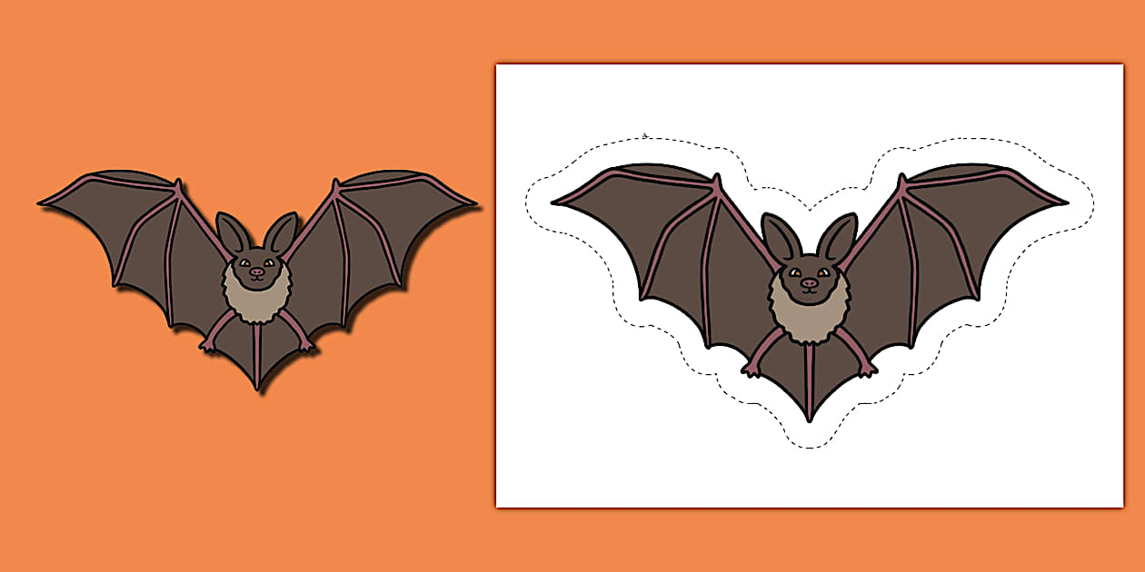 Dibujo de un murciélago | Recursos Educativos Twinkl