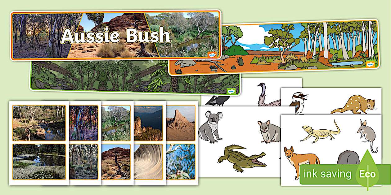 Aussie Bush Role Play and Small World Adventures