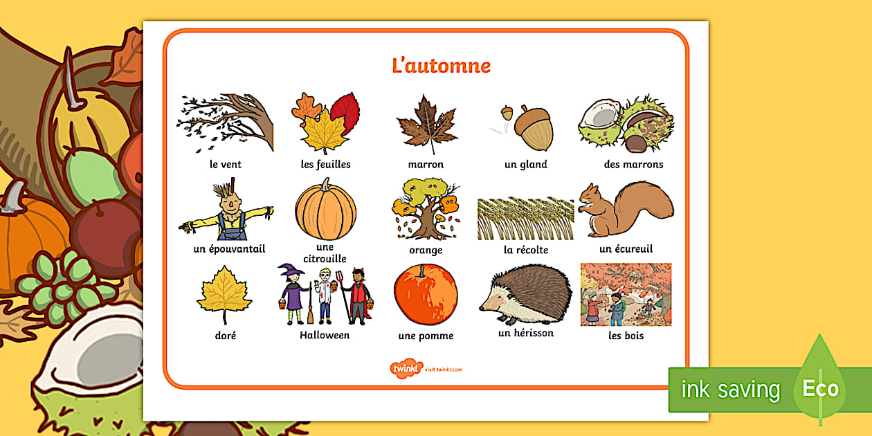 Support de vocabulaire sur l'automne - Cycle 2 - Twinkl