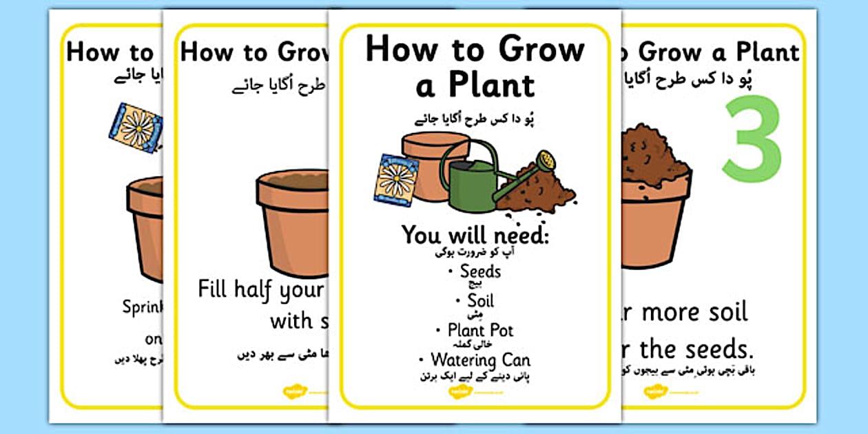 How to Grow a Plant Posters Urdu Translation (teacher made)