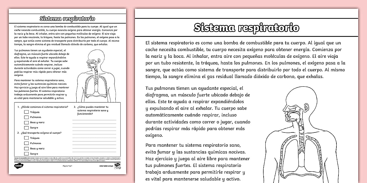 Lectura: Texto informativo del sistema respiratorio - Twinkl