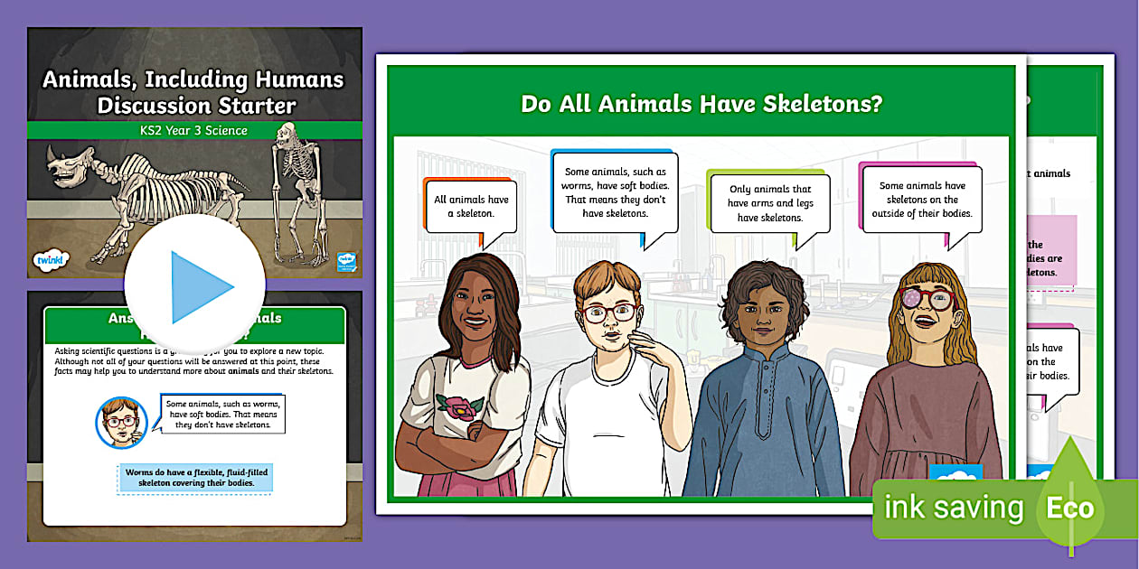 KS2 Y3 Animals, Including Humans Science Discussion Starter